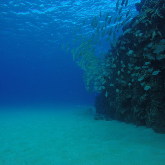 Oahu Dive Site List – Hawaii Dive Center