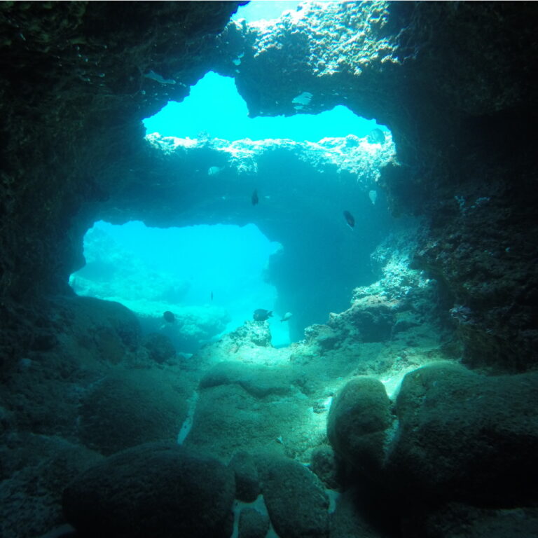 Sharks Cove - Hawaii Dive Center